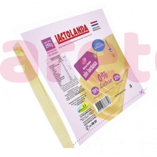 LACTOLANDA QUESO DANBO SIN LACTOSA FETEADO 250G